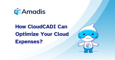 Amadis - Public Cloud Optimization Solutions